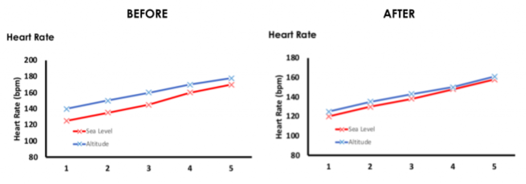 How will altitude affect my performance? - Everest in the Alps